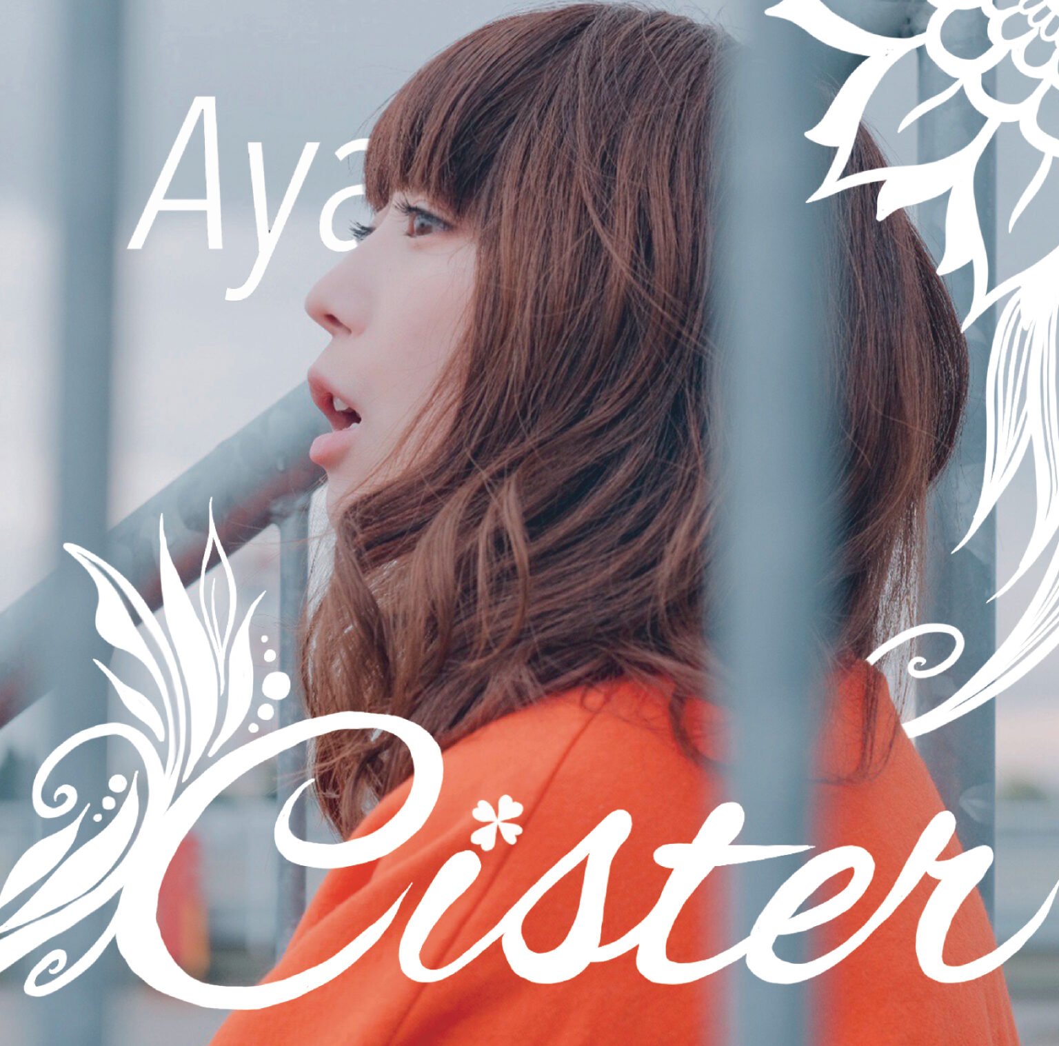 AYA Solo Ploject Cister | AYA official web site